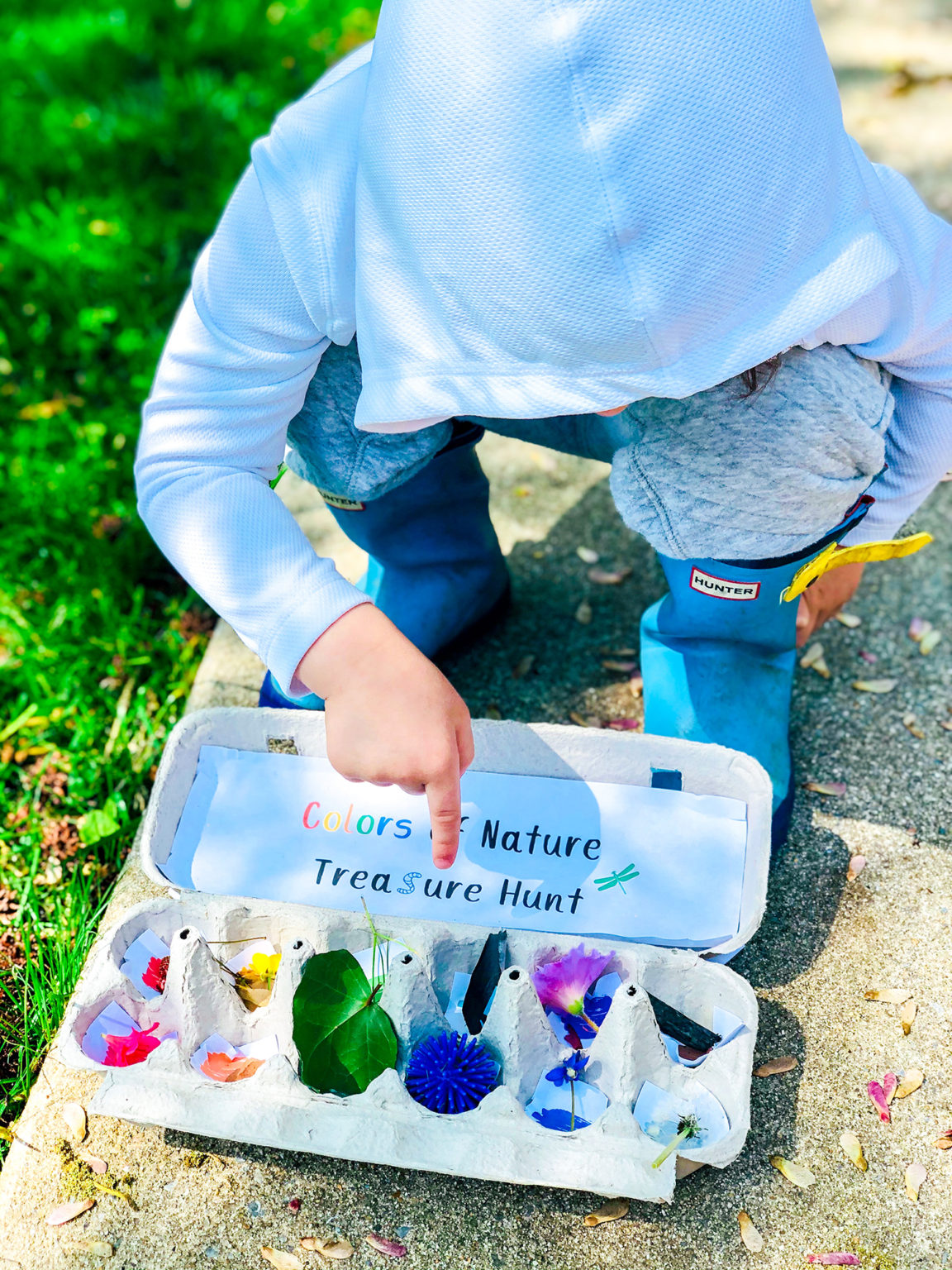 nature hunts – Ask Ash Mash